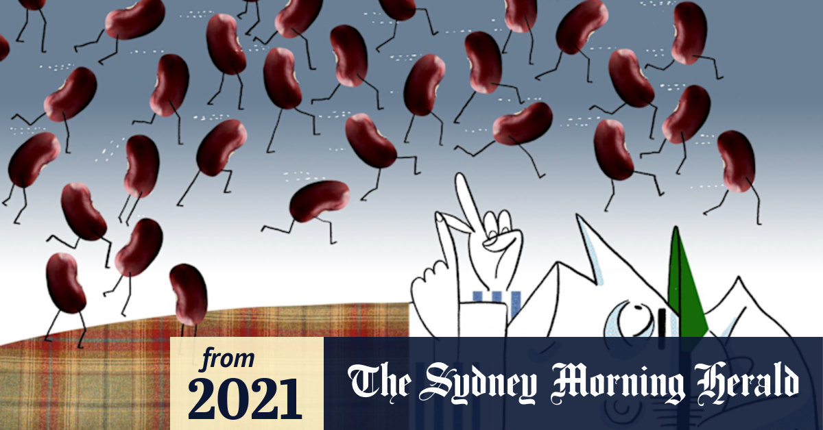 Best of cartoons, June 16, 2021