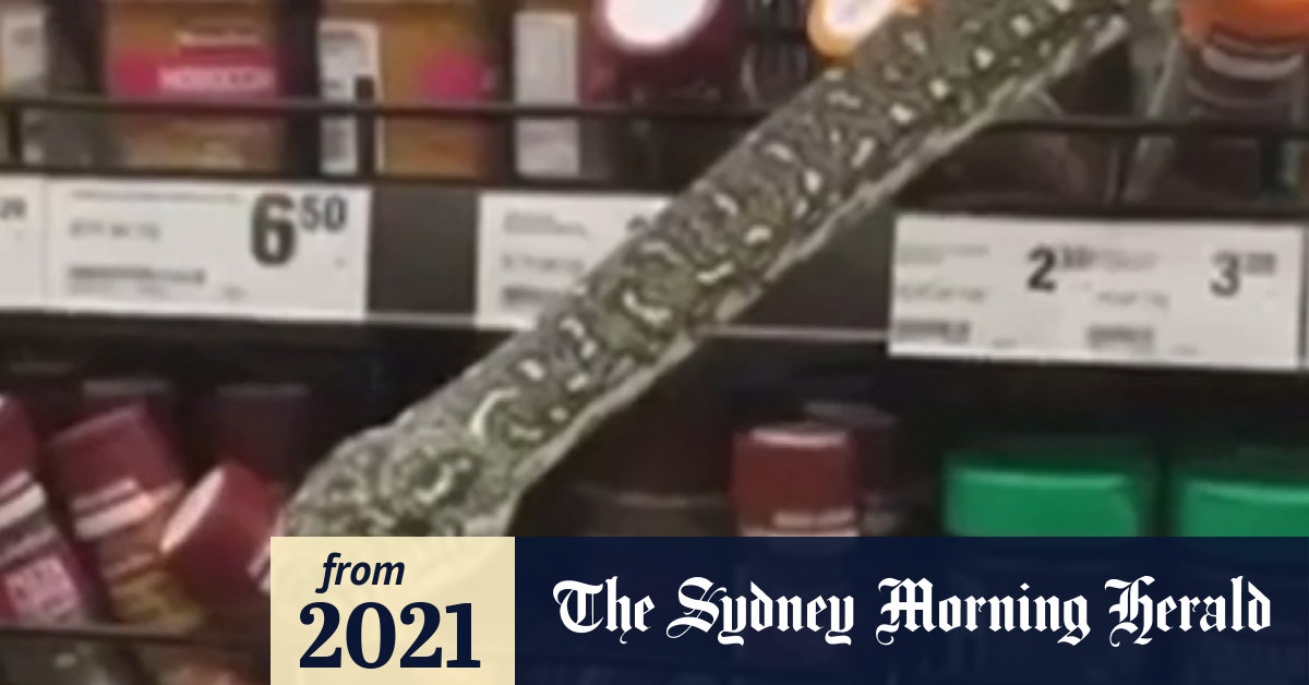 Video: Python found in spice rack