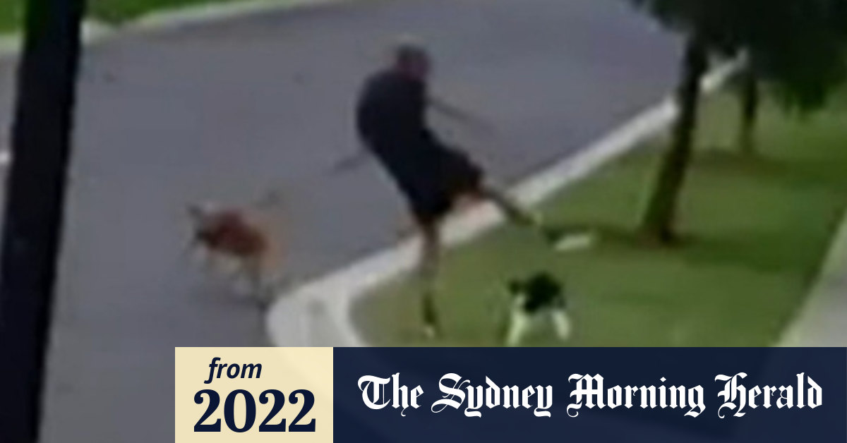Video: Search for man who attacked pet cats in Melbourne's north