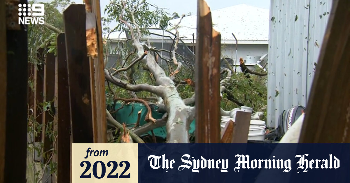 Video: More scenes of destruction continue across flood affected south ...