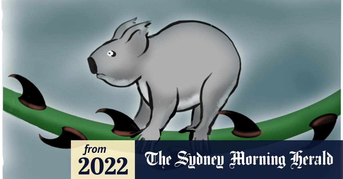 Best of cartoons, September 13, 2022