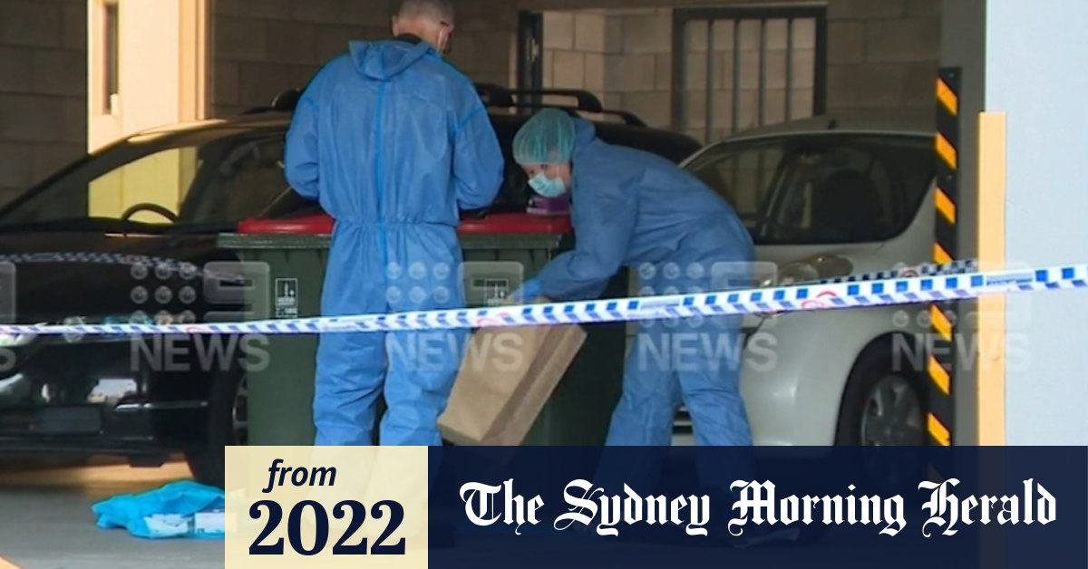 Video: Police trying to identify body found in basement of Queensland ...