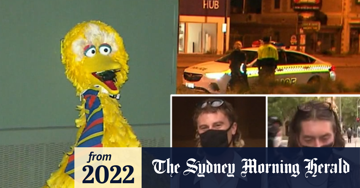 Video: Adelaide's notorious Big Bird bandits plead guilty