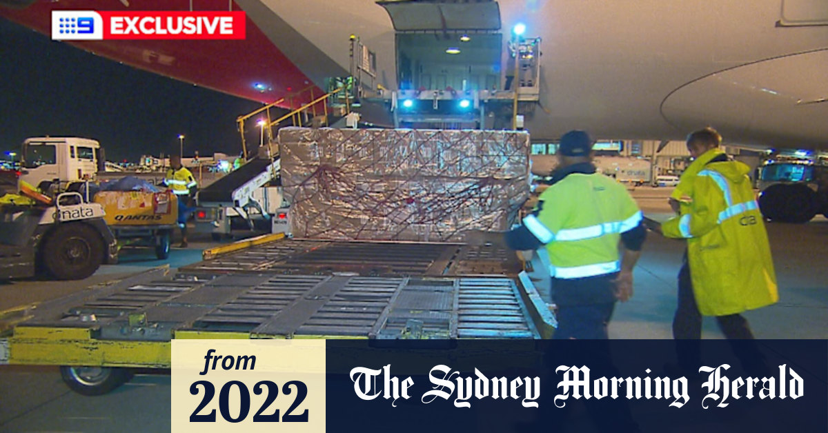 Video: One million RAT kits lands in Sydney