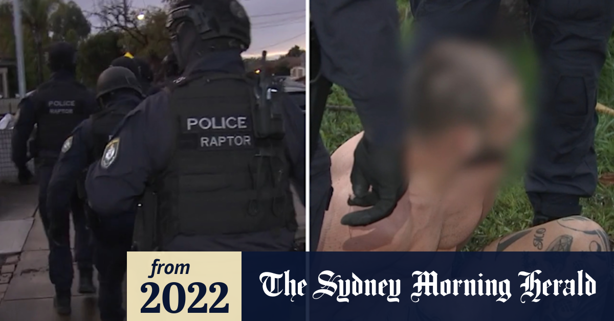 Video: More than a dozen alleged Sydney gang members face court