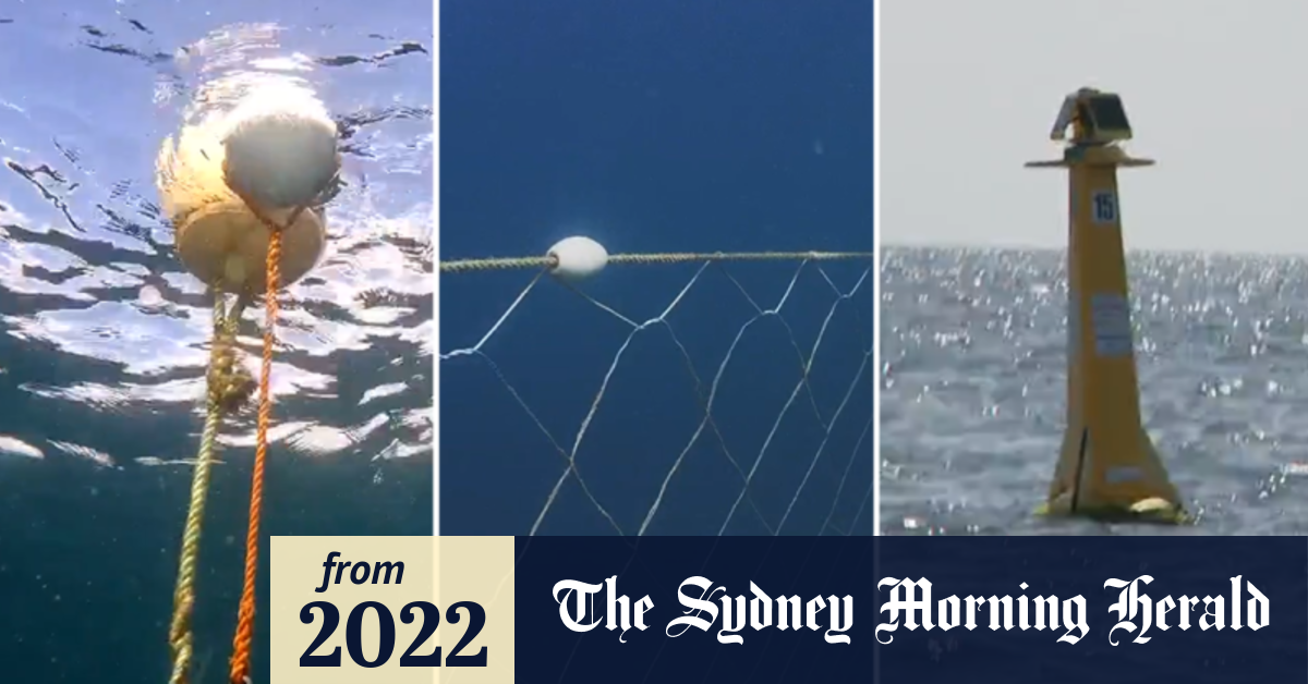 Video: Effectiveness of shark nets called into question