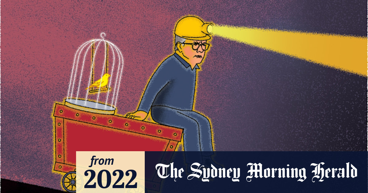 Best of cartoons, September 5, 2022