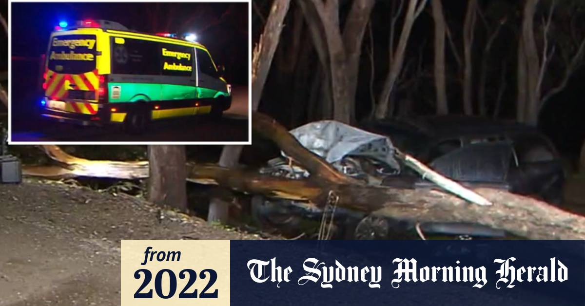 Video: Four people injured in Adelaide car crash