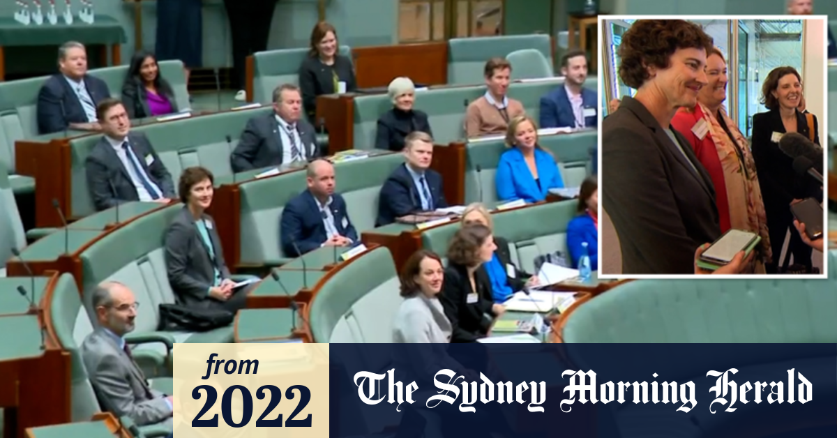 Video: Thirty five new MPs arrive at federal parliament before being ...