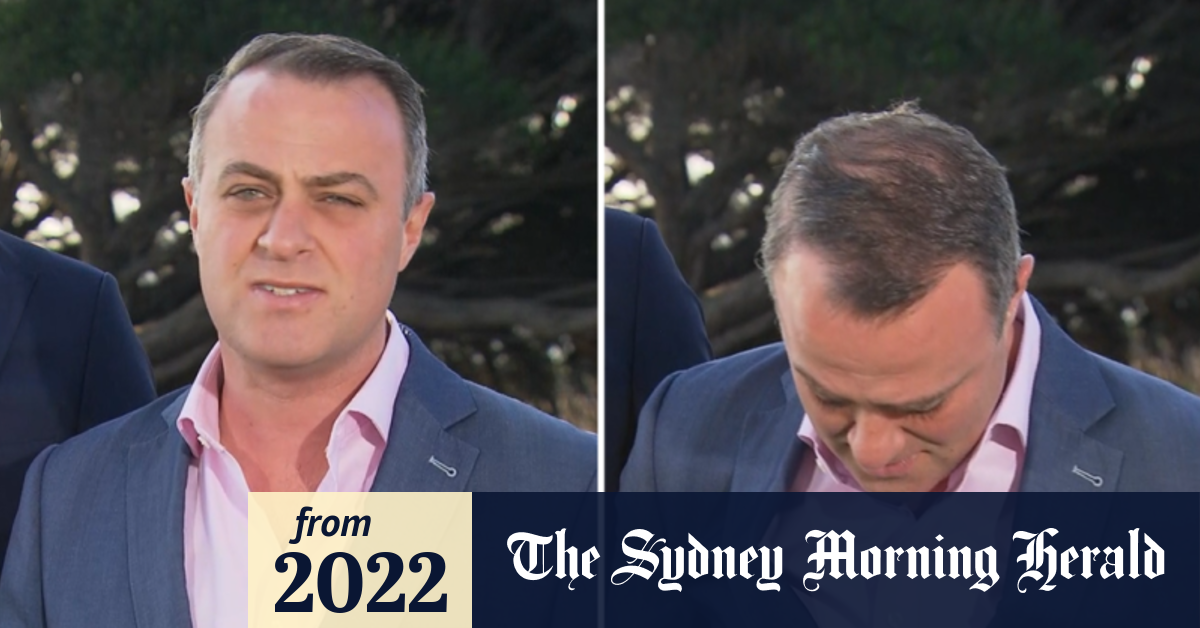 Video: Tim Wilson concedes defeat in once-safe Liberal seat of Goldstein