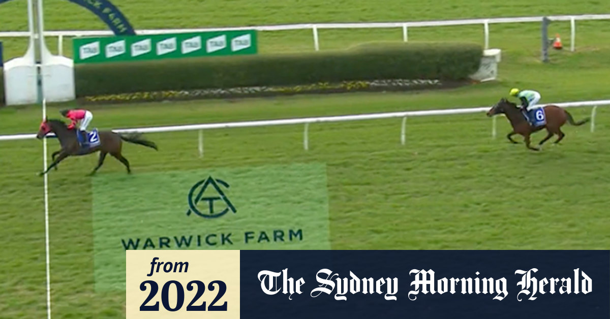 Video: Two-horse race