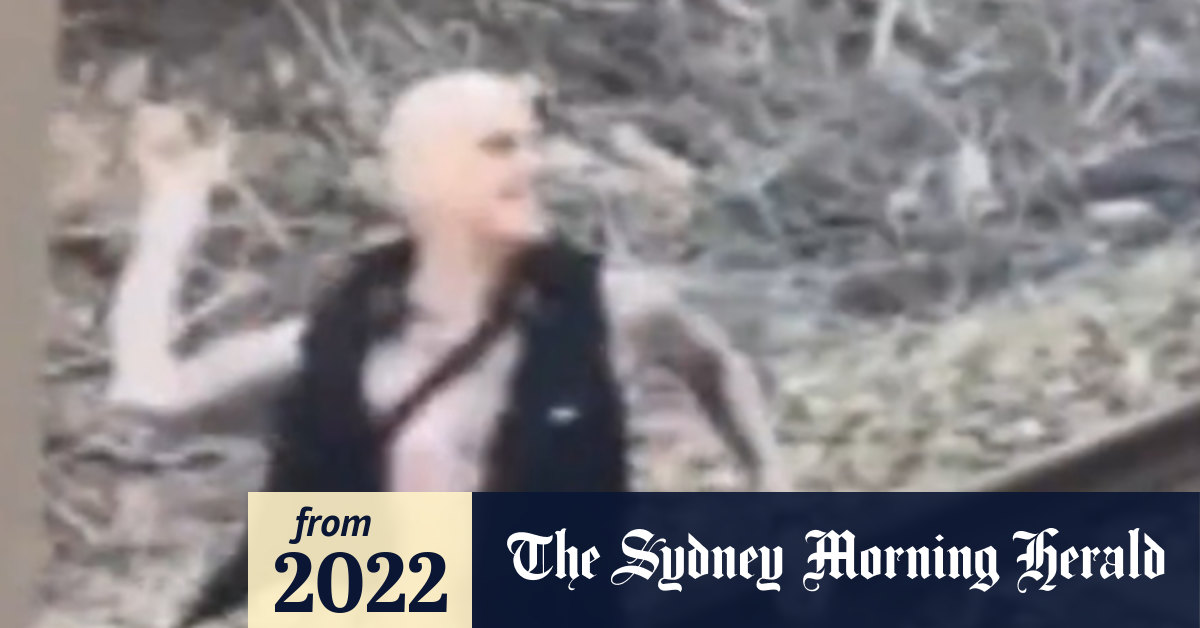 Video: Commuters shocked by man throwing rocks at train