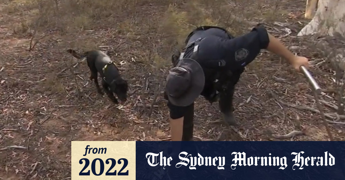 Video: Sydney man James Hachem found guilty of murdering girlfriend ...