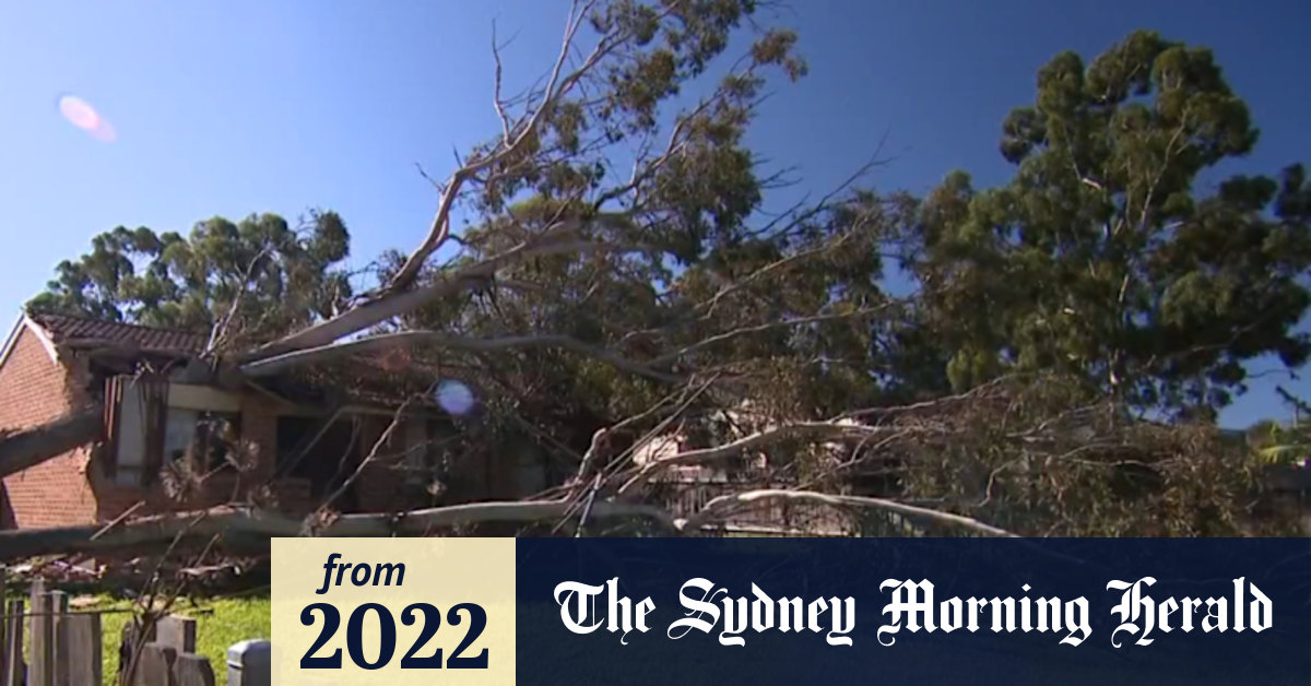 Video: NSW braces for more wild weather after strong winds batter state
