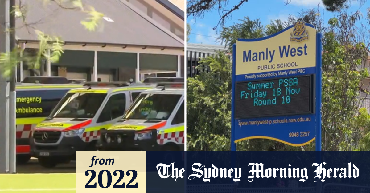 Video: School community offered counselling after science experiment ...