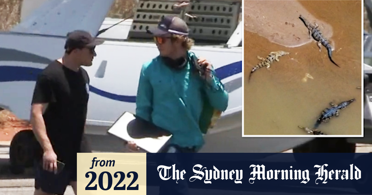 Video: Man 'bitten on the head' in WA crocodile attack