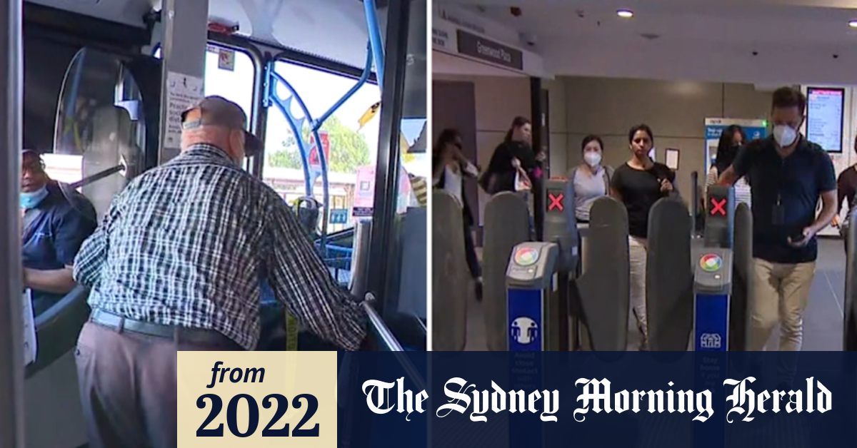 Video: Free public transport for 12 days across NSW