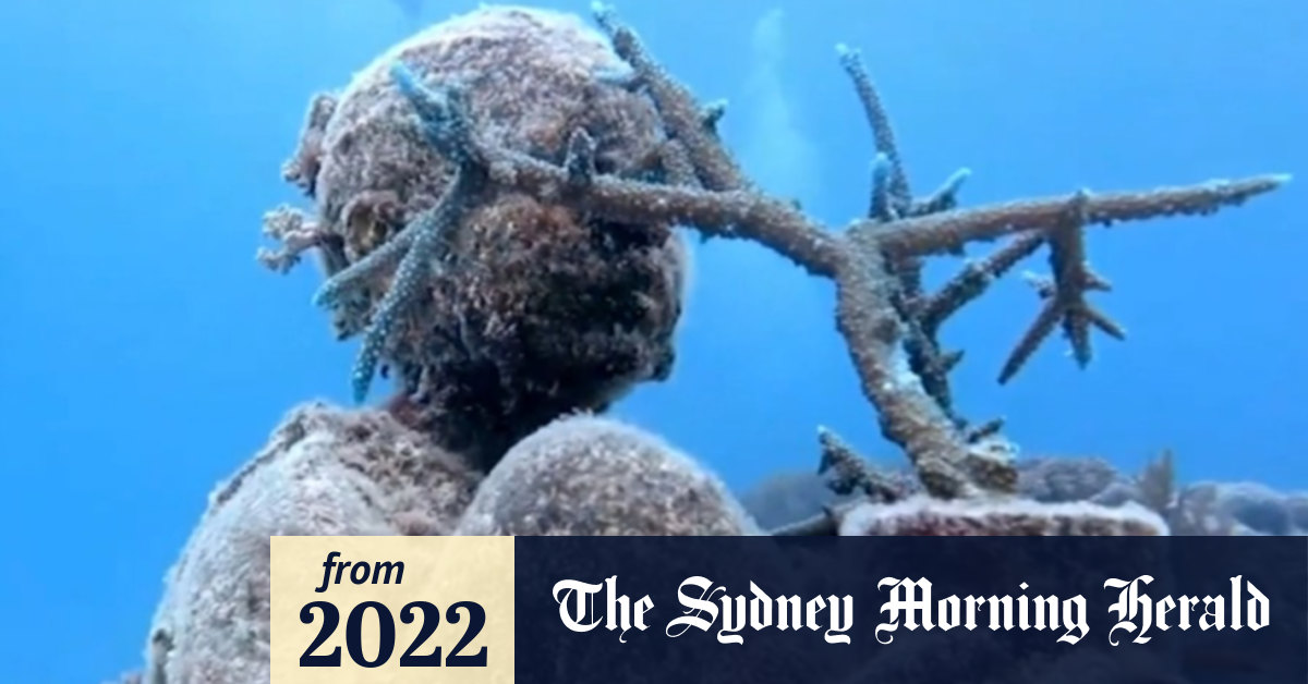 Video: World’s largest underwater sculpture exceeding expectations