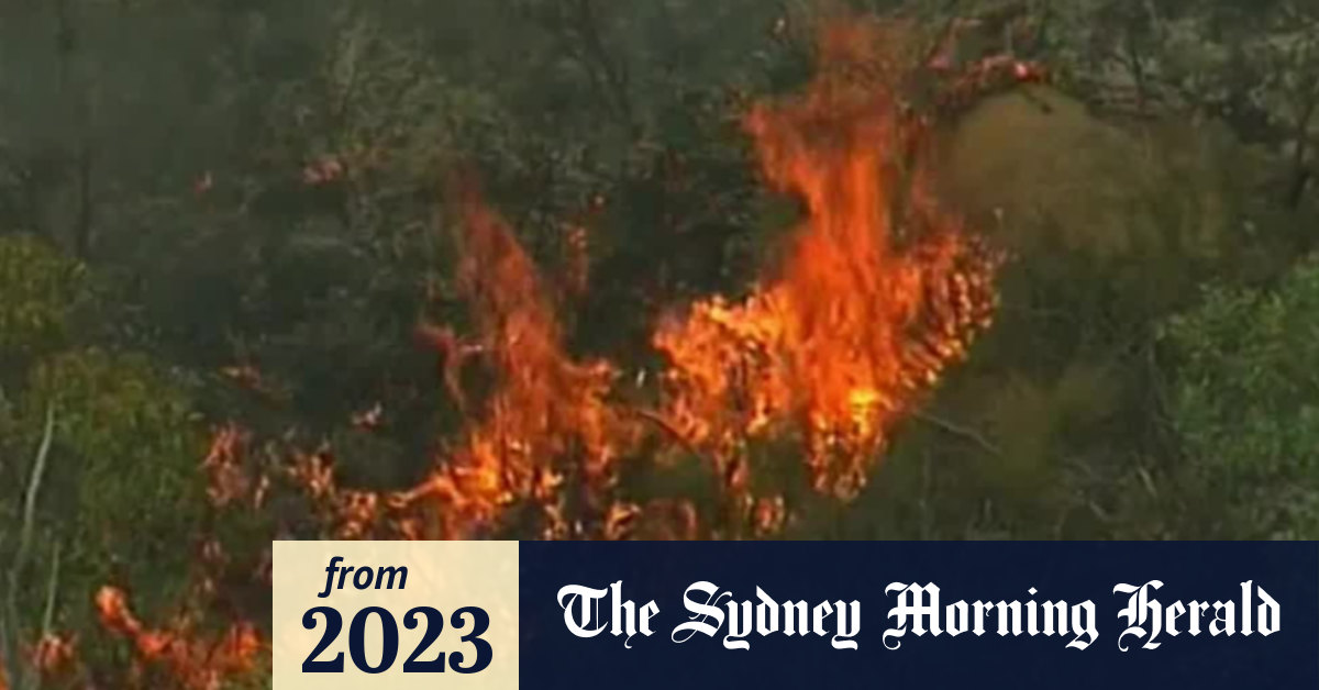 Video: Man found guilty of lighting bushfire