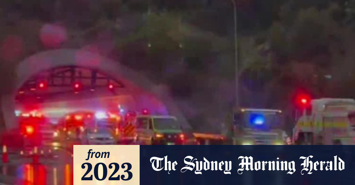 Video: Adelaide freeway crash brings traffic to a standstill