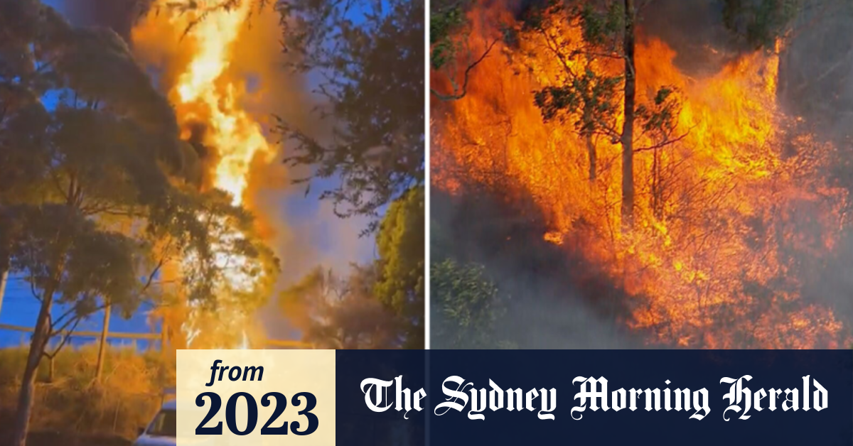 Video: Total fire bans remain for large parts of NSW