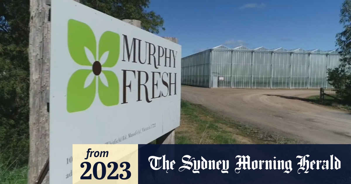 Video: Seasonal workers identified as those killed in fiery crash in ...