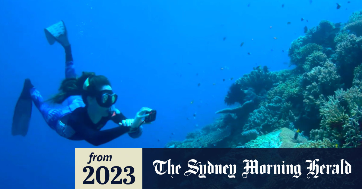 Video: Trailer for the Stan Original Documentary Revealed: Reefshot