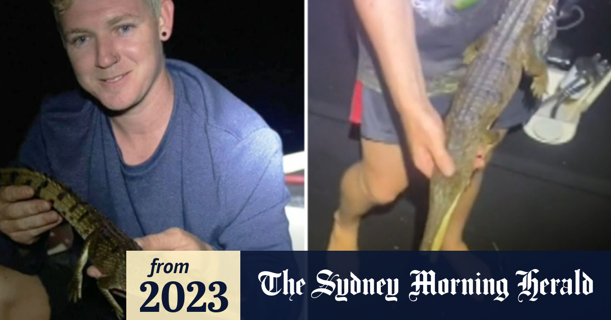 Video: Amateur croc hunter fined $12,000