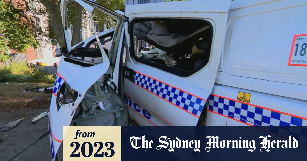 Video: Man allegedly stole then crashed police car