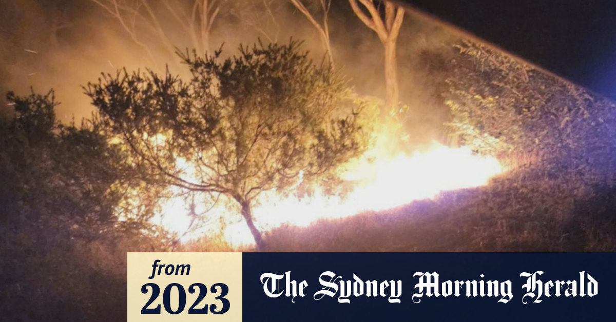 Video: Investigation into SA fires underway