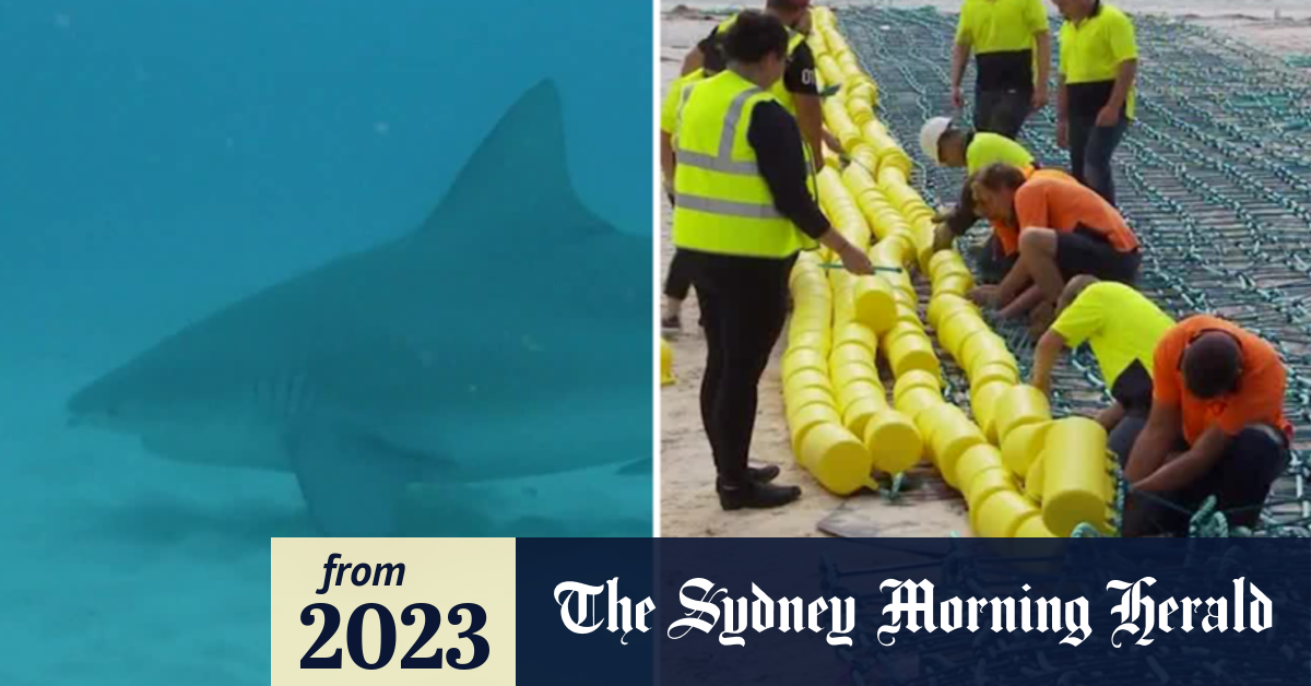 Video: New shark barrier installed along Swan River