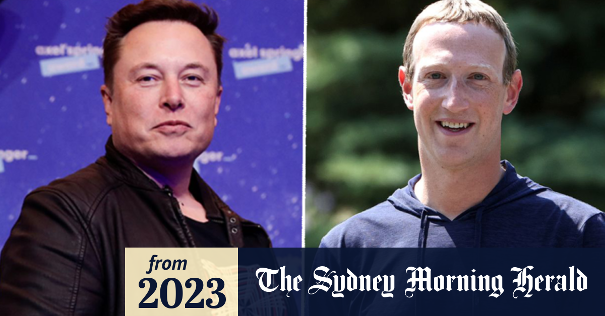 Video: Musk and Zuckerberg agree to cage fight