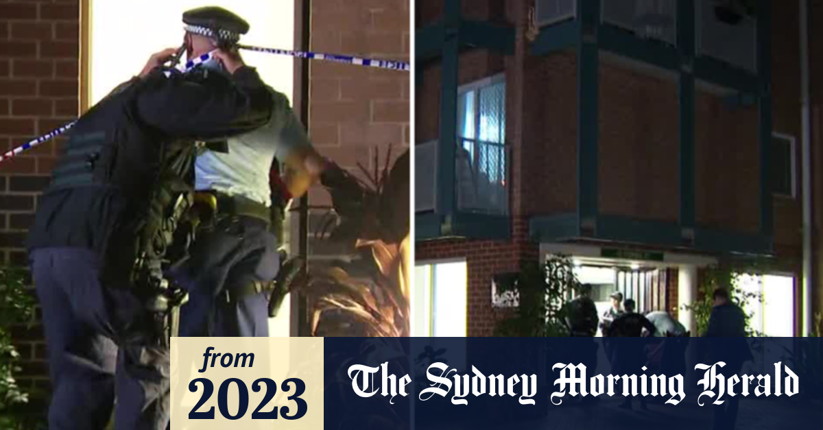 Video: Man died in alleged Sydney stabbing