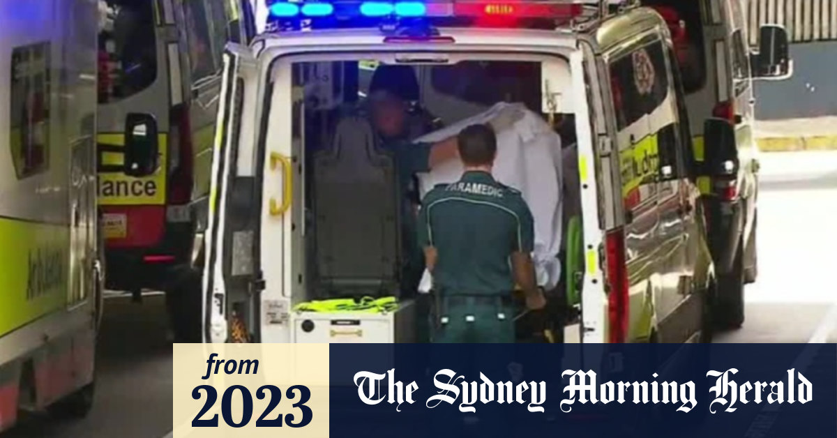 Video: Cause of major computer outage in Queensland revealed