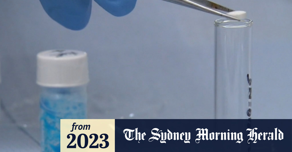 Video: Queensland introduces pill testing at music festivals