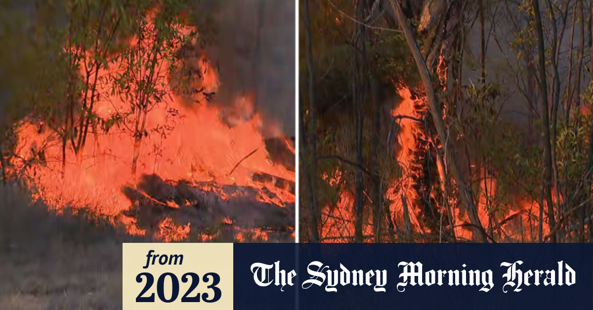 Video: Emergency bushfire warnings for residents in Queensland's ...