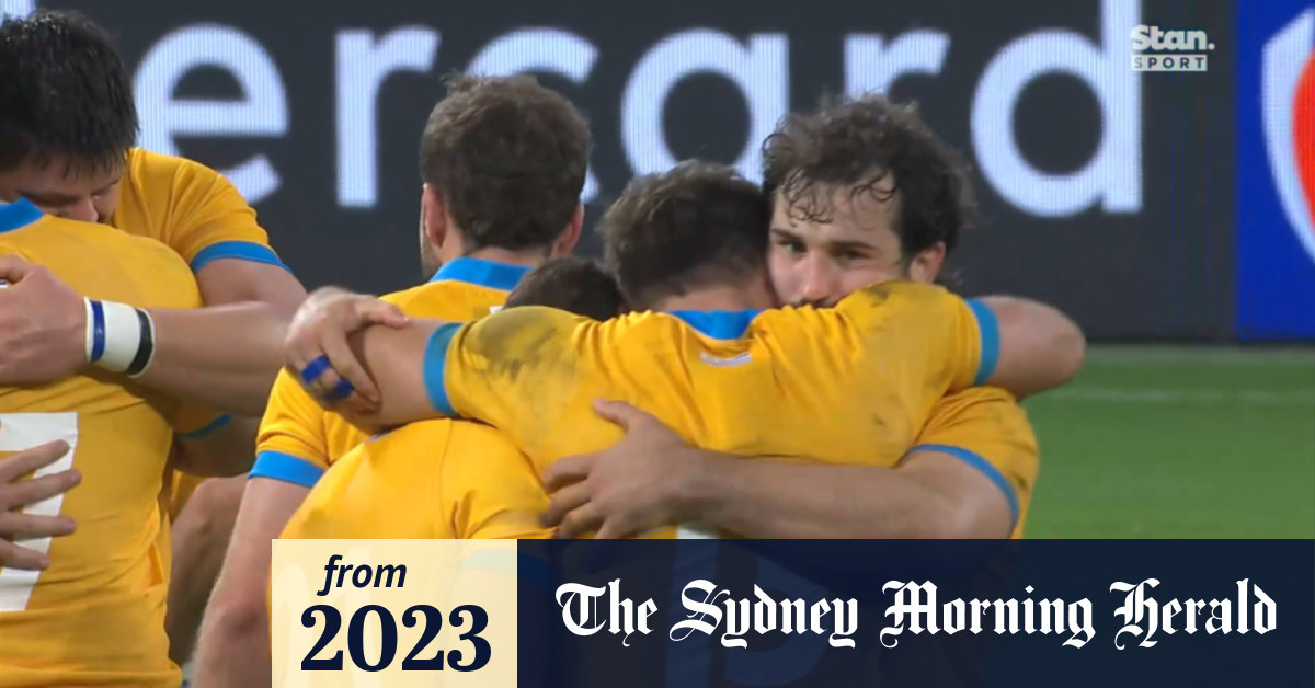 Video: Uruguay vs Namibia - RWC highlights