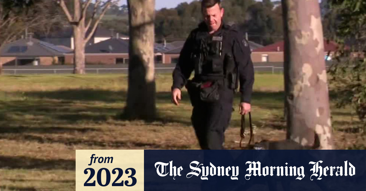 Video: Police hunt gunman after shooting in Victoria