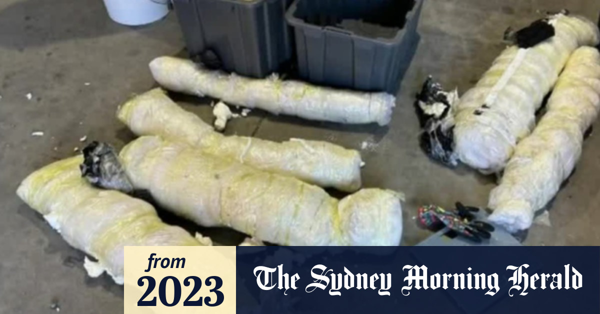 Video: Former child star arrested after 112kg meth seizure