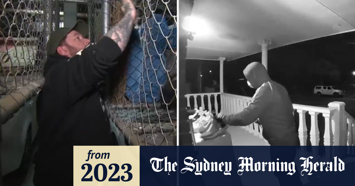 Video: Spike in theft from front porches and apartment buildings in ...