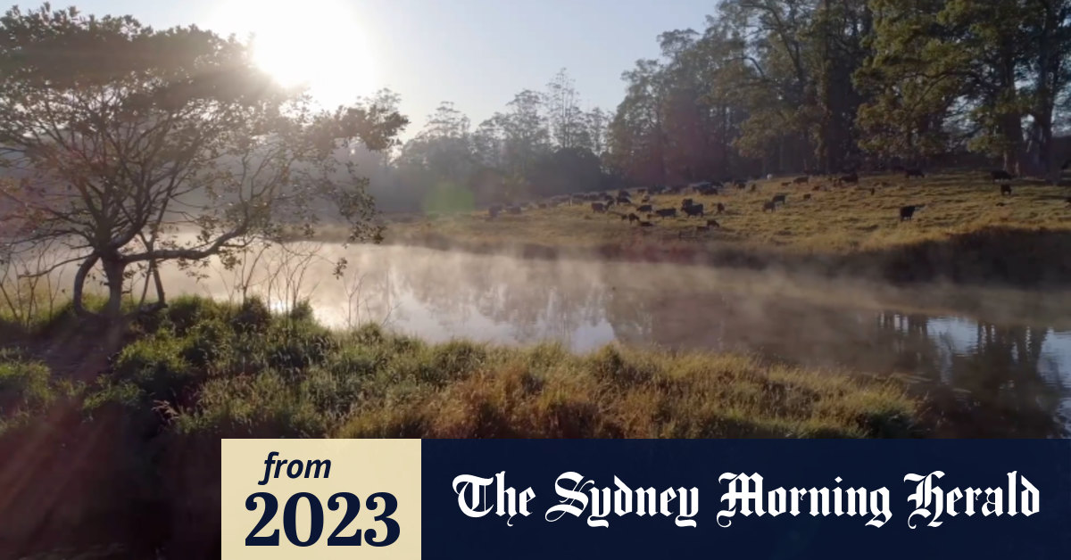 Video: Trailer: Rachel's Farm