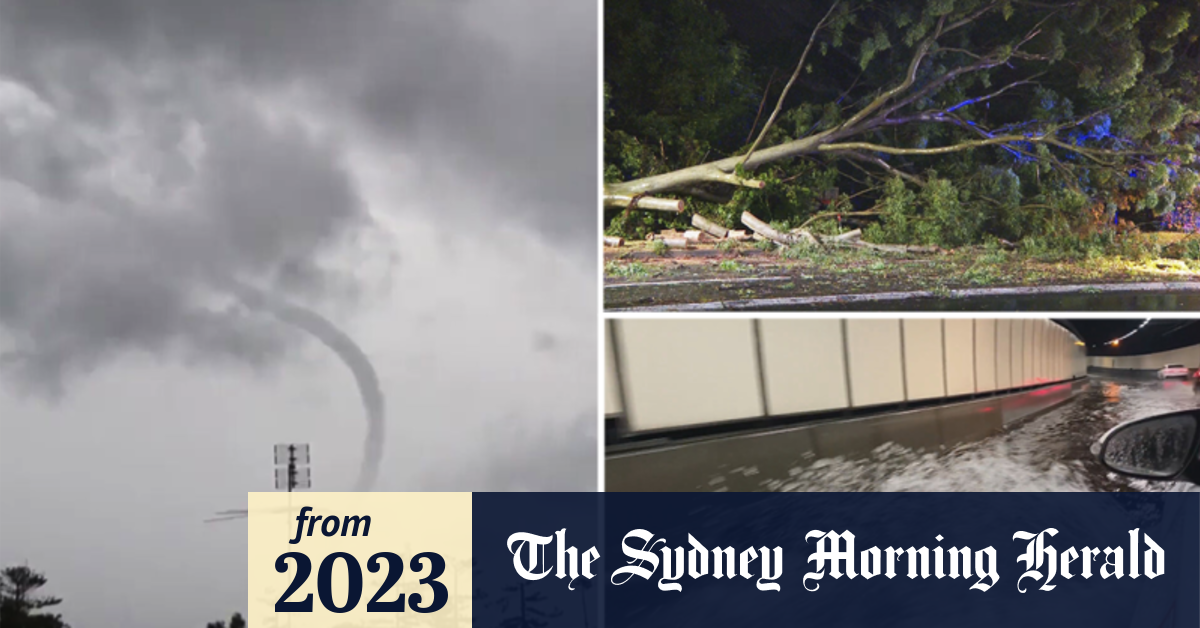 Video: More rain for Sydney after storm overnight