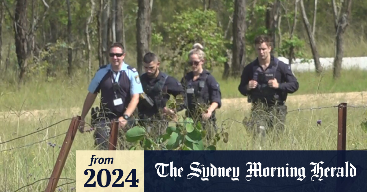 Video: Suspect coaxed down from tree by police following pursuit