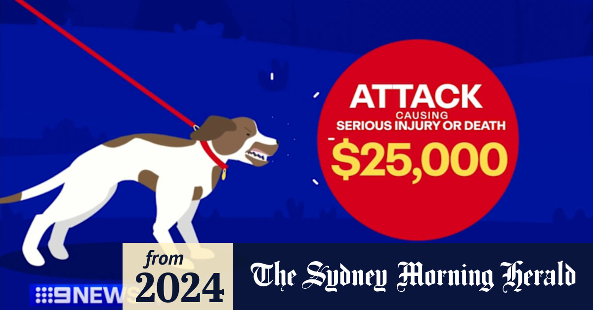 Video: Penalties to increase for vicious dog attacks