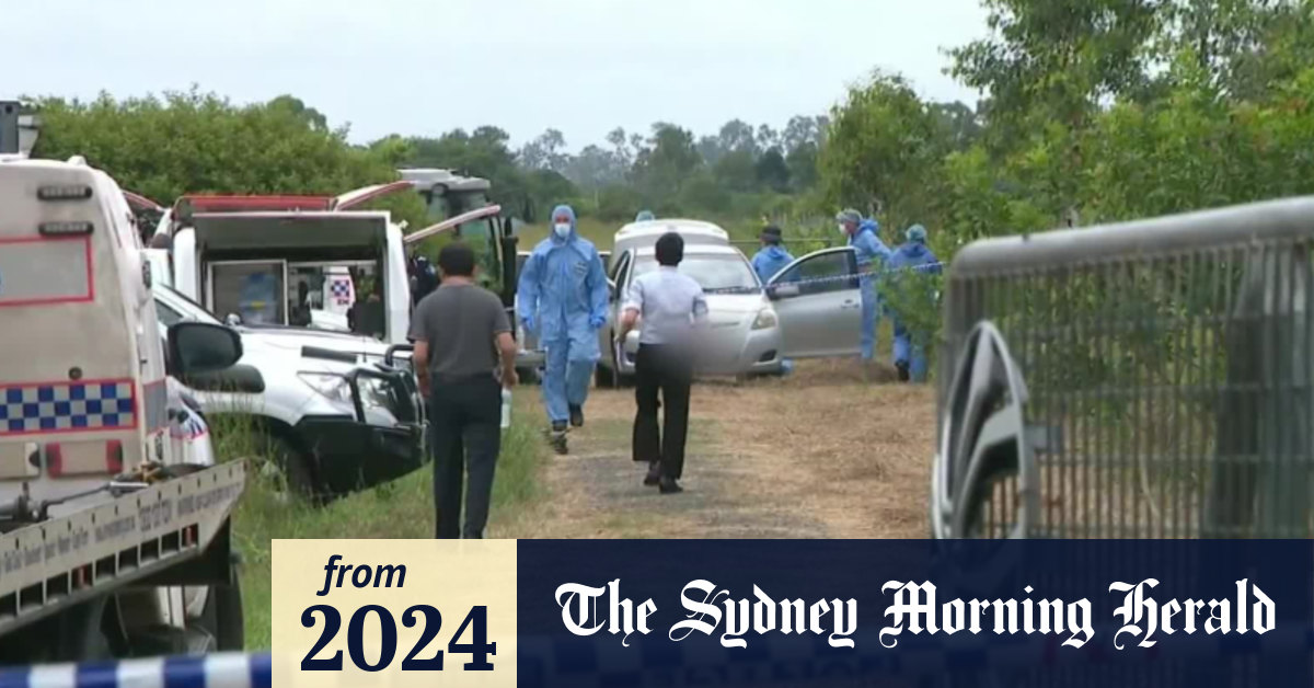 Video: Major probe into woman’s farm death continues