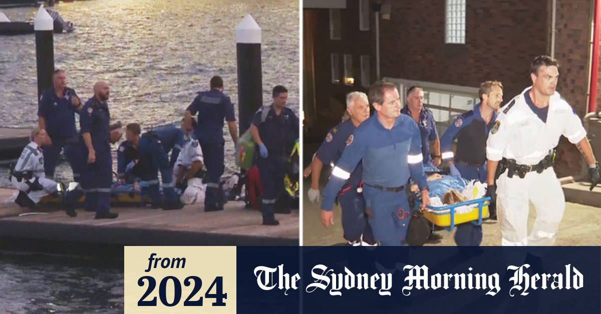 Video: Shark attack on Sydney Harbour leaves woman with serious injuries