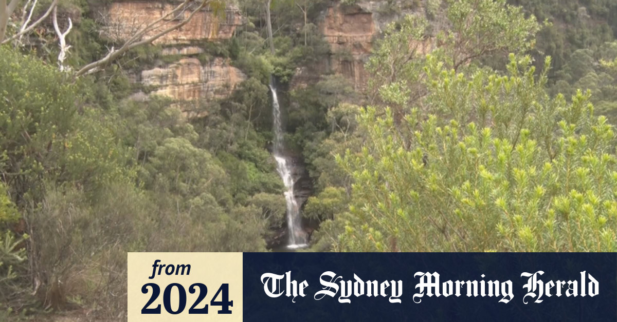 Video: Person dies after falling from NSW waterfall