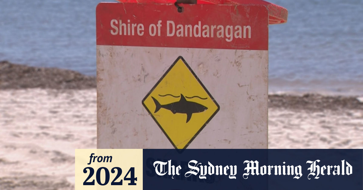 Video: Tourist undergoing emergency surgery after shark attack