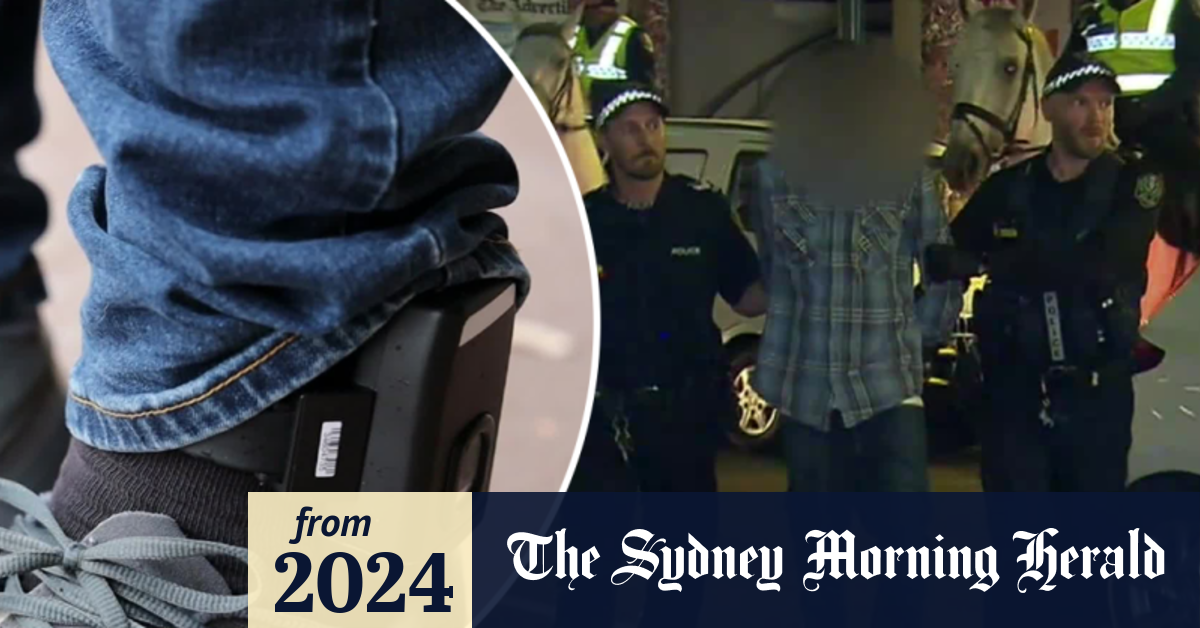 Video: Concerns raised over home detention in South Australia