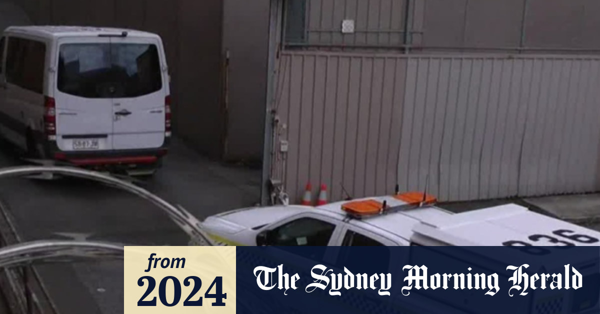 Video: Adelaide man accused of sex attack arrested for separate incident